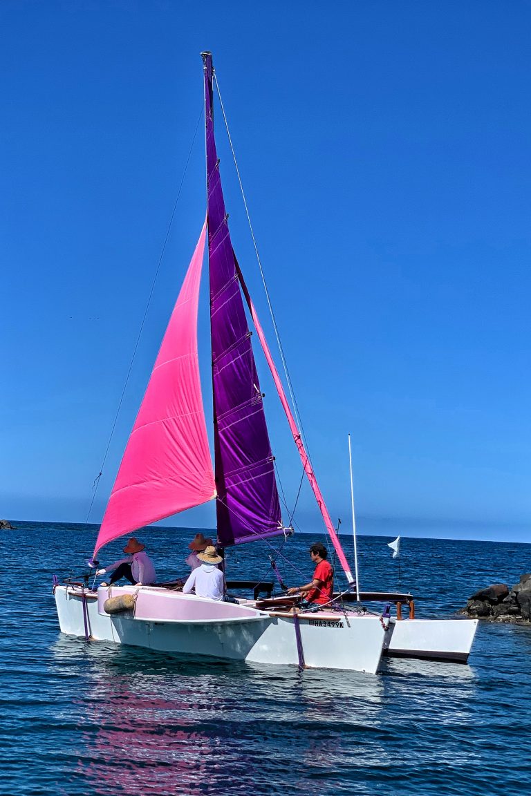 Coconut Is Sailing Now